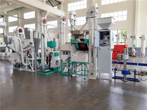 15TPD Rice Mill Project | Automatic Rice Mill Machine Manufacturer