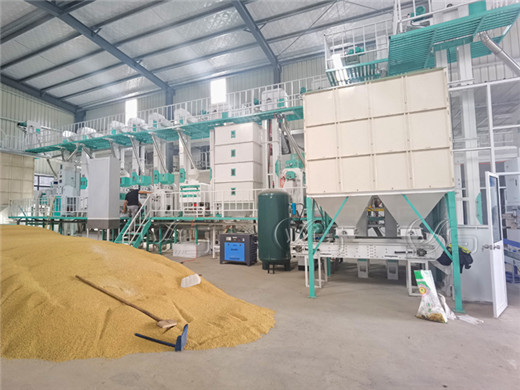 40T/D Complete Rice Mill Plant, Rice Processing Plant for Sale