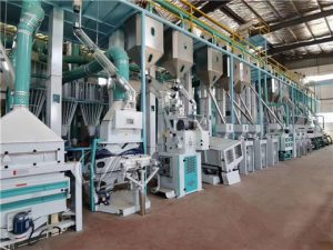 Turnkey 300-500T/D Rice Mill Plant | Rice Processing Plant