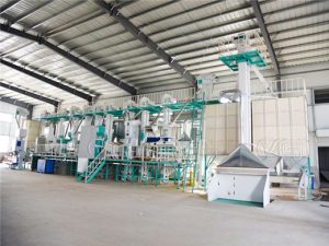 Professional Rice Mill Plant,60T Complete Rice Mill Plant
