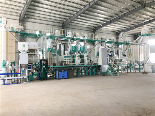 Professional Rice Mill Plant,60T Complete Rice Mill Plant