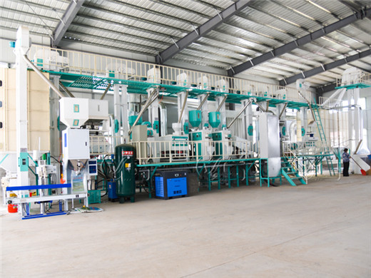 Professional Rice Mill Plant,60T Complete Rice Mill Plant