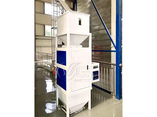 DCS-L Flow Scale Machine Used in Rice Mill Plant