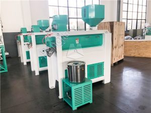 Rice Polisher | Rice Polishing Machine for Rice Mill Process